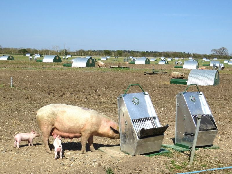 Feeding Systems - J Harvey Engineering